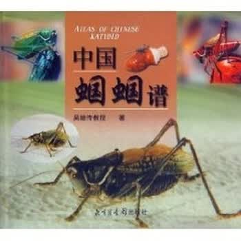 中国蝈蝈谱