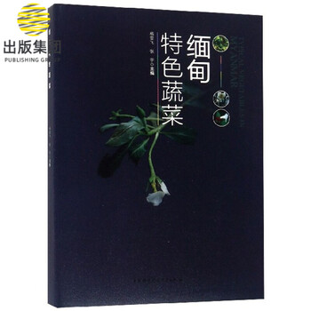 缅甸特色蔬菜(精)