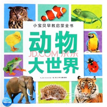 动物大世界/小早教启蒙全书