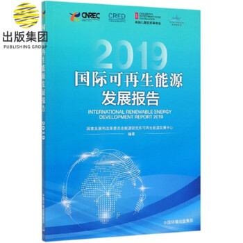 国际可再生能源发展报告(2019)