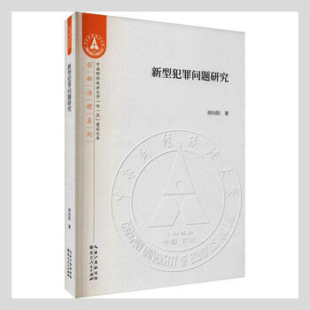 新型犯罪问题研究胡向阳湖北人民出版社有限公司9787216100182 法律书籍