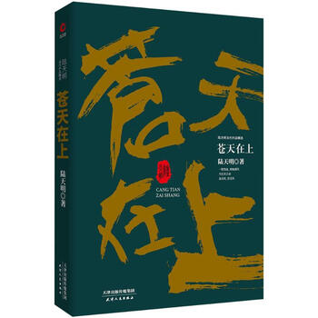 苍天在上 陆天明  书籍