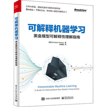 可解释机器学习 黑盒模型可解释性理解指南 图书