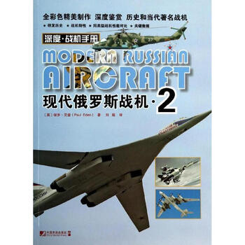 现代俄罗斯战机  2 