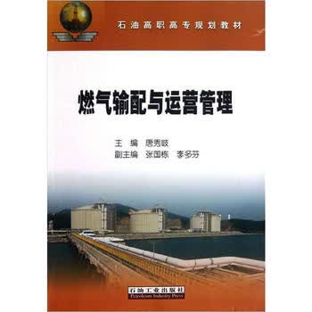 燃气输配与运营管理 图书