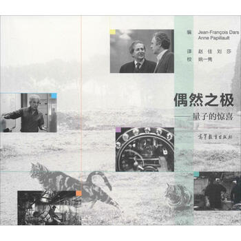 偶然之极 书籍