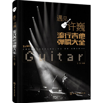 正版遇见许巍流行吉他弹唱大全 化学工业出版社 流行吉他弹唱曲谱吉他谱吉他书