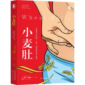 小麦肚 小麦食品让你变胖、生病、加速衰老的惊人真相 书籍