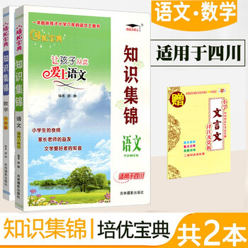 培优宝典语文知识集锦四川专版小升初总复习小学数学英语小学生知识学习工具书大全语文知识大集结 语文+数学