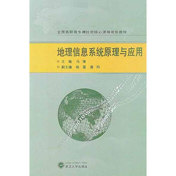 地理信息系统原理与应用 马驰 编 作 书籍