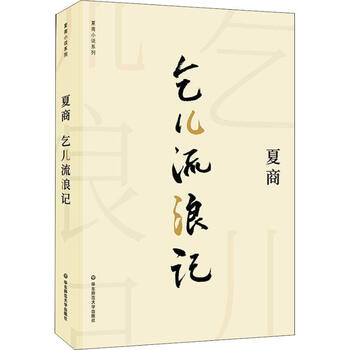 乞儿流浪记 夏商  书籍