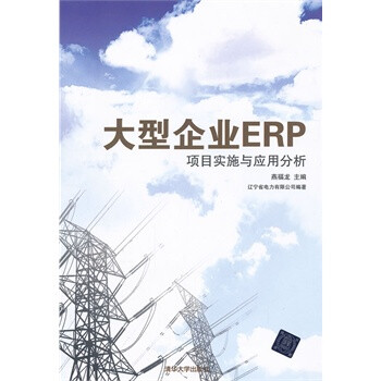 大型企业ERP项目实施与应用分析