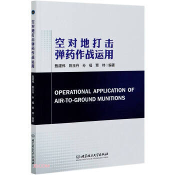 空对地打击弹药作战运用