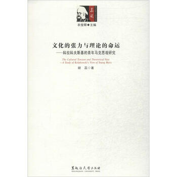 文化的张力与理论的命运 胡蕊  书籍