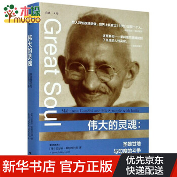 伟大的灵魂--圣雄甘地与印度的斗争(精)