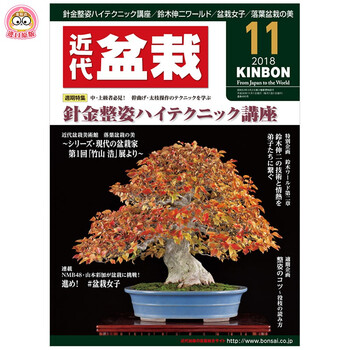 订阅 月刊近代盆栽 盆栽景观杂志 日本日文原版 年订12期