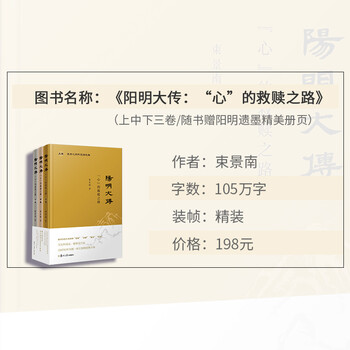 阳明大传 