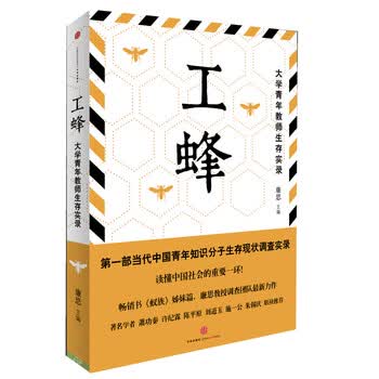 工蜂:大学青年教师生存实录