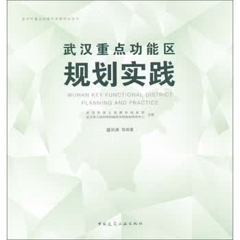 武汉重点功能区规划实践