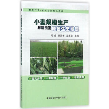 小麦规模生产与病虫害原色生态图谱