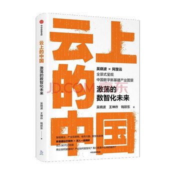 云上的中国：激荡的数智化未来