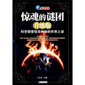 惊魂的谜团【正版图书 放心购买】