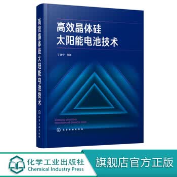 【官方正版】高效晶体硅太阳能电池技术 晶体硅电池制备及性能研究 硅太阳能电池领域技术人员参考书籍 光