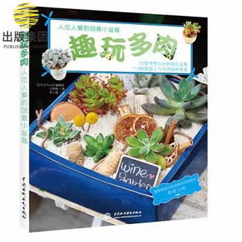 趣玩多肉(人见人爱的创意小盆栽)