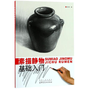 素描静物基础入门 段体贵  书籍