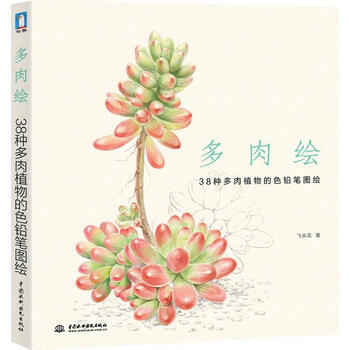 多肉绘 飞乐鸟【正版书】