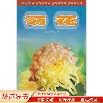 菊花 吴应祥