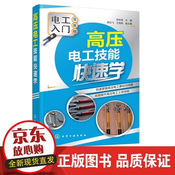 B高压电工技能快速学 张伯龙 电工入门 高低电压电工操作技术书籍 电工维修 电工操作 电气设