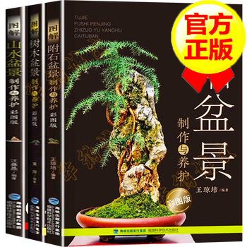 【全套3册】图解附石盆景+山水盆景+树木盆景制作与养护(彩图版) 盆景制作教材入门书籍