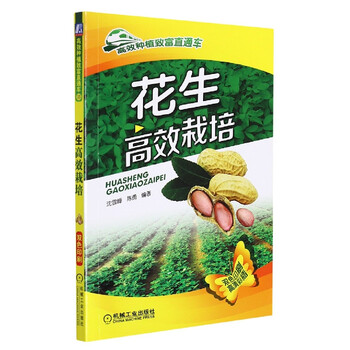 花生高效栽培