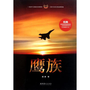 鹰族 周建  书籍