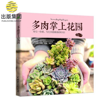 多肉掌上花园