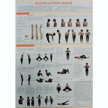 强直性脊柱炎自我按摩与锻炼挂图 郑润杰,张雄 编 书籍