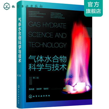 气体水合物科学与技术（第二版）