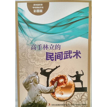 高手林立的民间武术 阚男男著 吉林出版集团