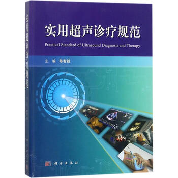 实用超声诊疗规范 陈智毅 主编 书籍