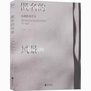 匿名的风景 从摄影到艺术 王天羲  书籍