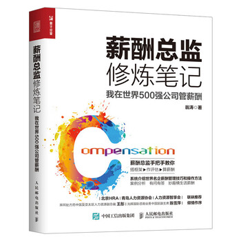 薪酬总监修炼笔记 我在世界500强公司管薪酬