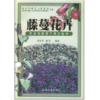 藤蔓花卉