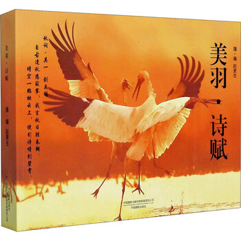 美羽·诗赋 赵更生  书籍