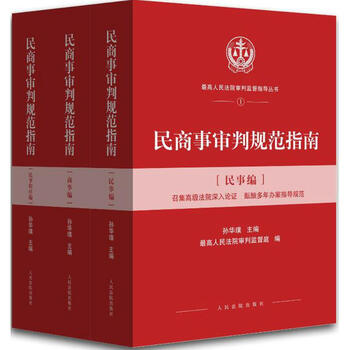 民商事审判规范指南