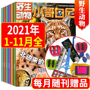 小哥白尼野生动物杂志2021年1-11月共11期9本打包6-15岁课外阅读期刊