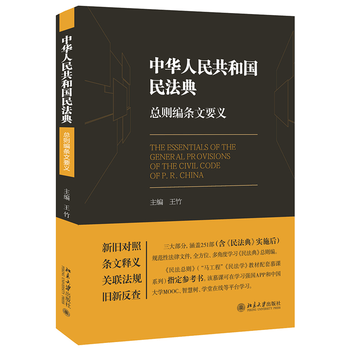 《中华人民共和国民法典》总则编条文要义