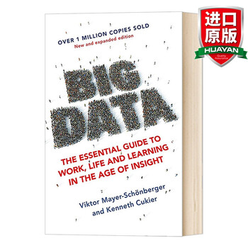 Big Data 英文原版 大数据：工作生活基本指南 英文版