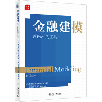 金融建模：以Excel为工具 北京大学旗舰店正版