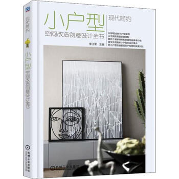 现代简约 小户型空间改造创意设计全书